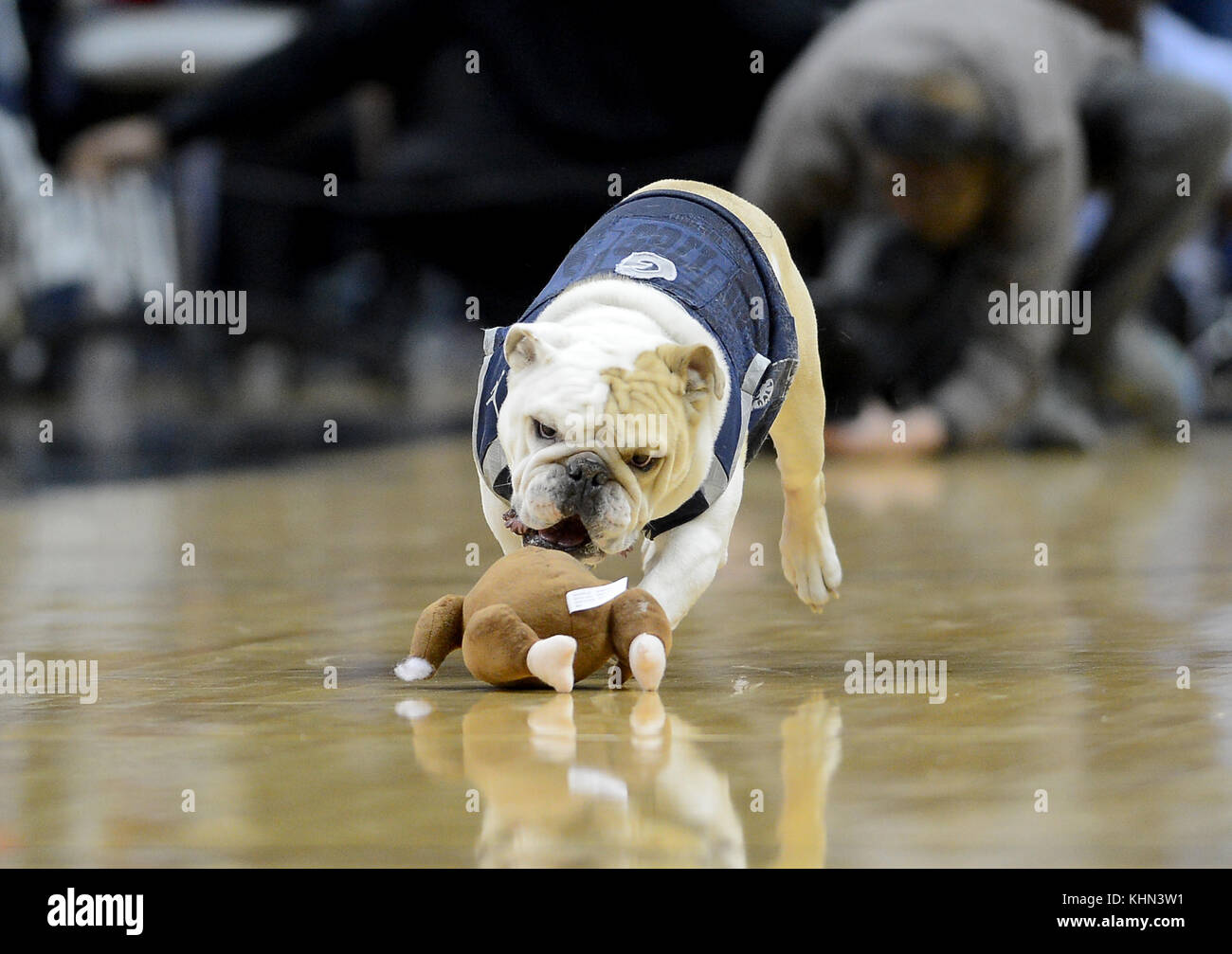 Washington, DC, USA. 18th Nov, 2017. 20171118 - Georgetown's ''Jack the ...