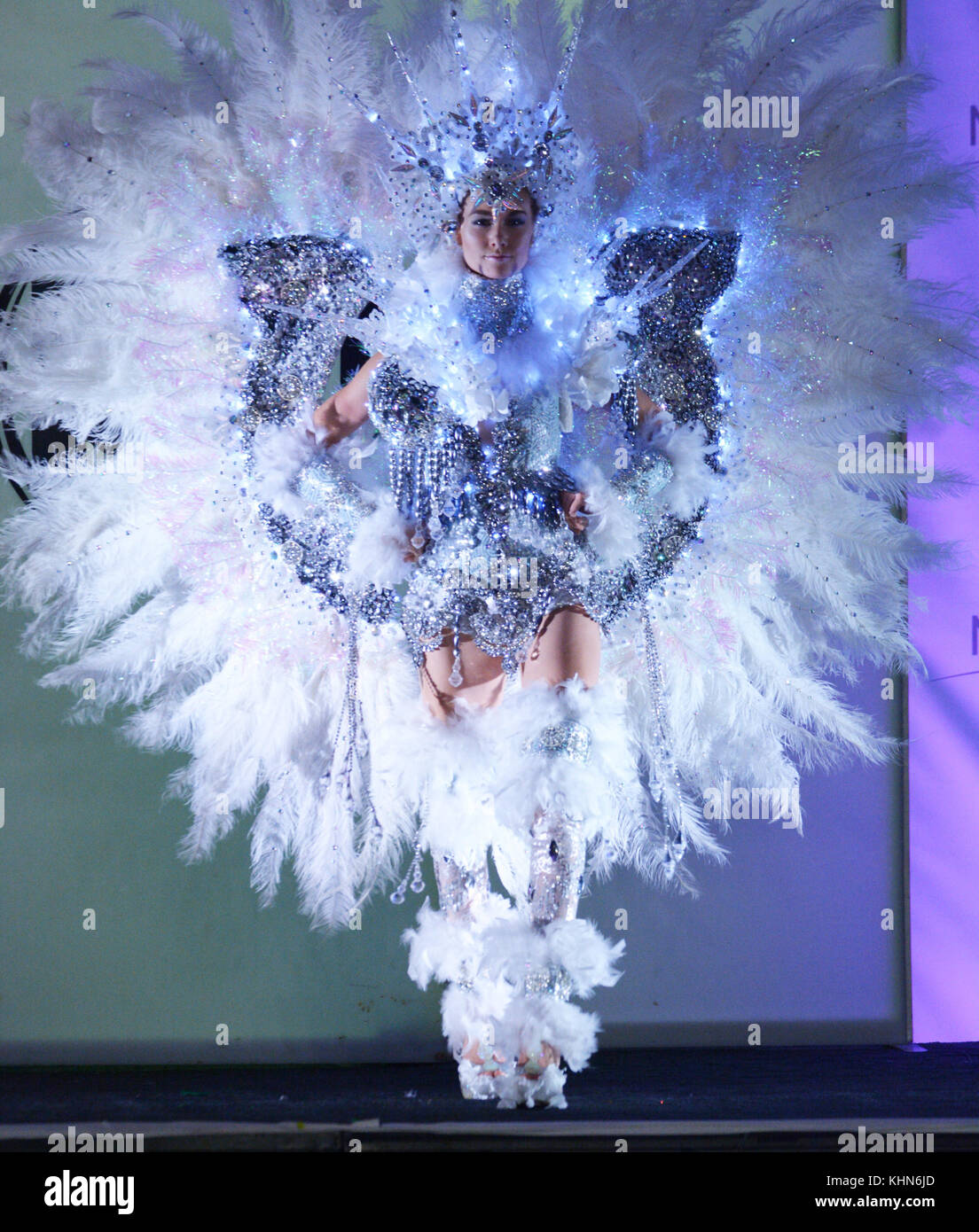 Las Vegas, Nevada, USA. 19th Nov, 2017. Miss Universe Canada Lauren ...