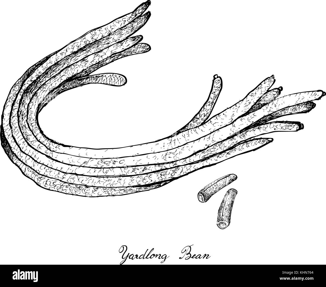 Sitaw Drawing