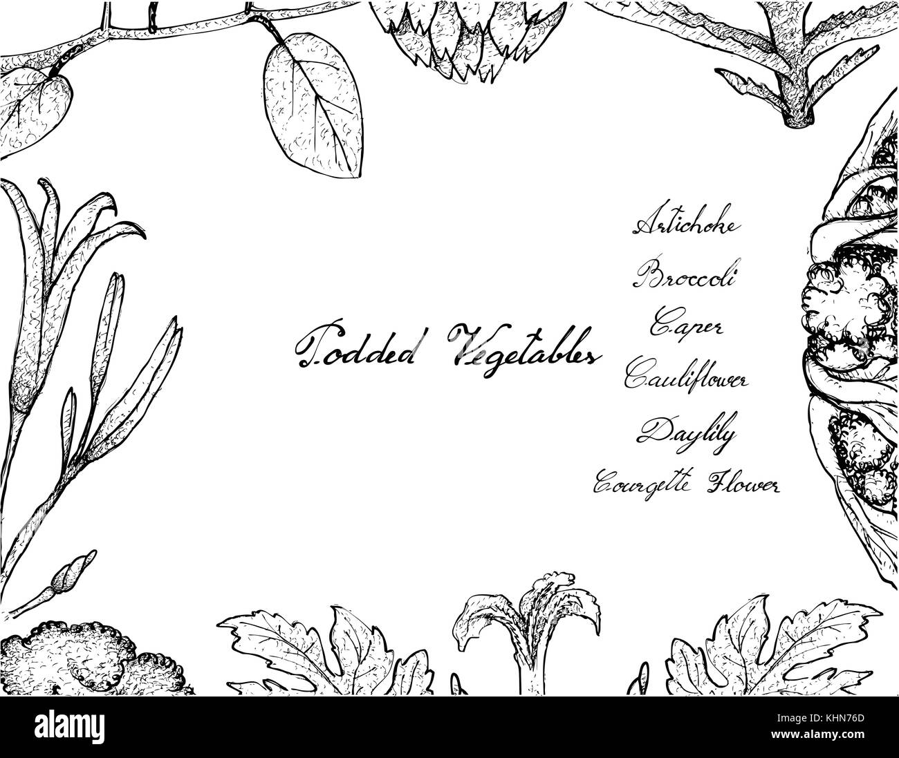 Vegetable, Illustration Frame of Hand Drawn Sketch Fresh Podded ...