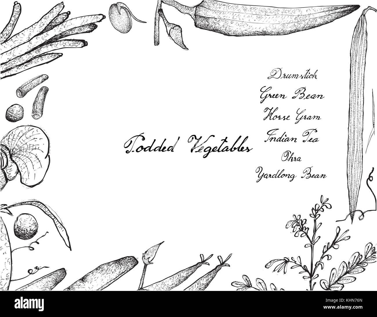Vegetable, Illustration Frame of Hand Drawn Sketch Fresh Podded ...