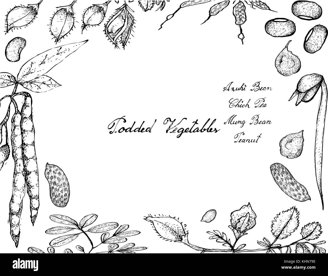 Vegetable, Illustration Frame of Hand Drawn Sketch Fresh Podded ...
