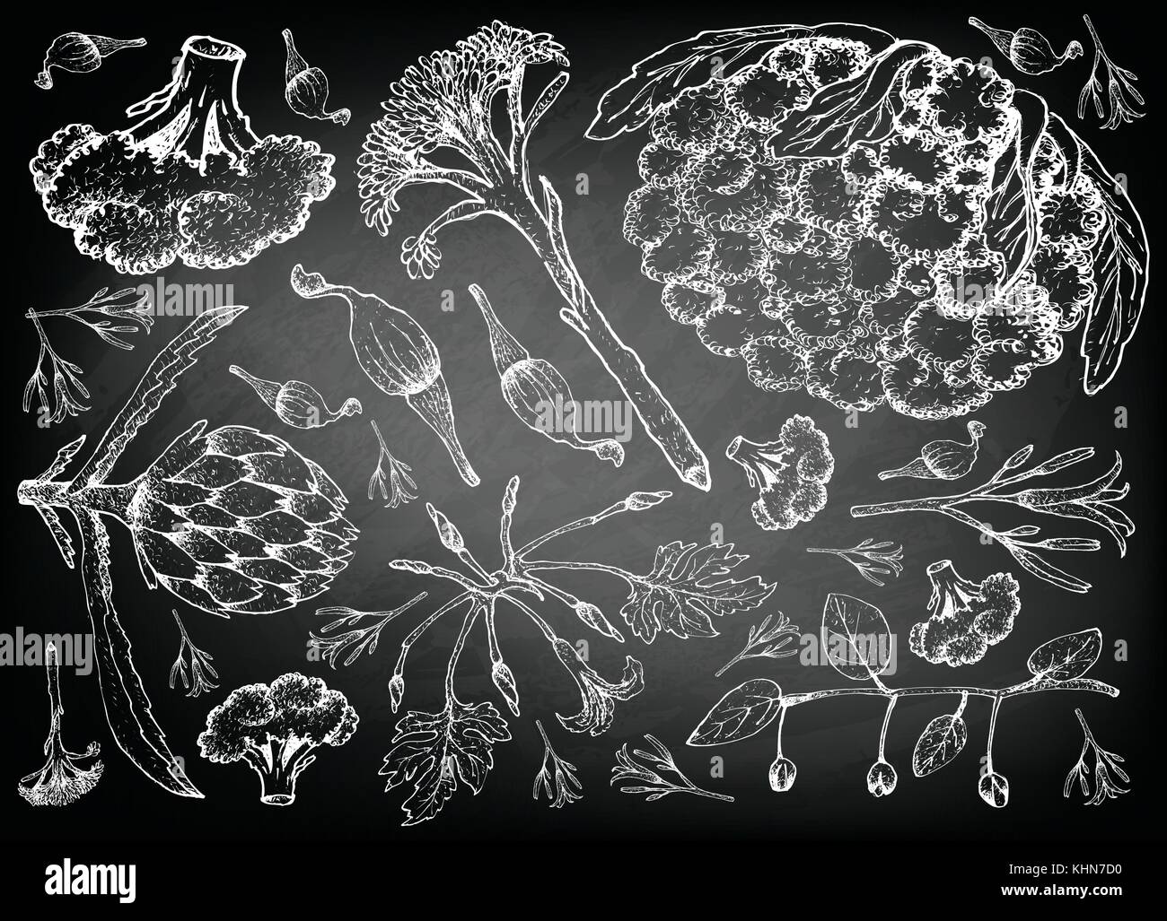 Vegetable, Illustration of Hand Drawn Sketch Fresh Podded Vegetables on ...