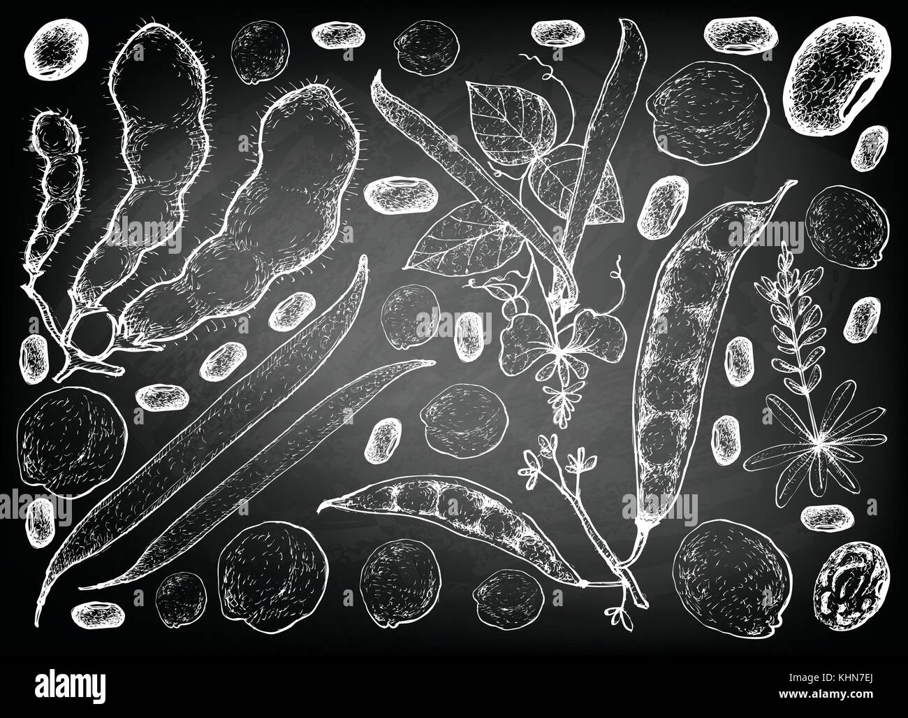 Vegetable, Illustration of Hand Drawn Sketch Fresh Podded Vegetables on ...