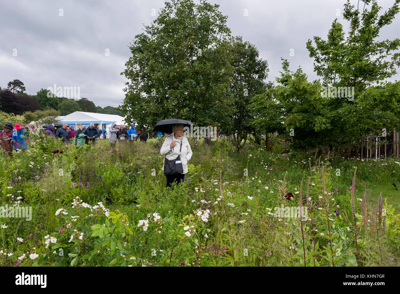 Woman looks round meadow of naturalistic beautiful wildflowers - The ...