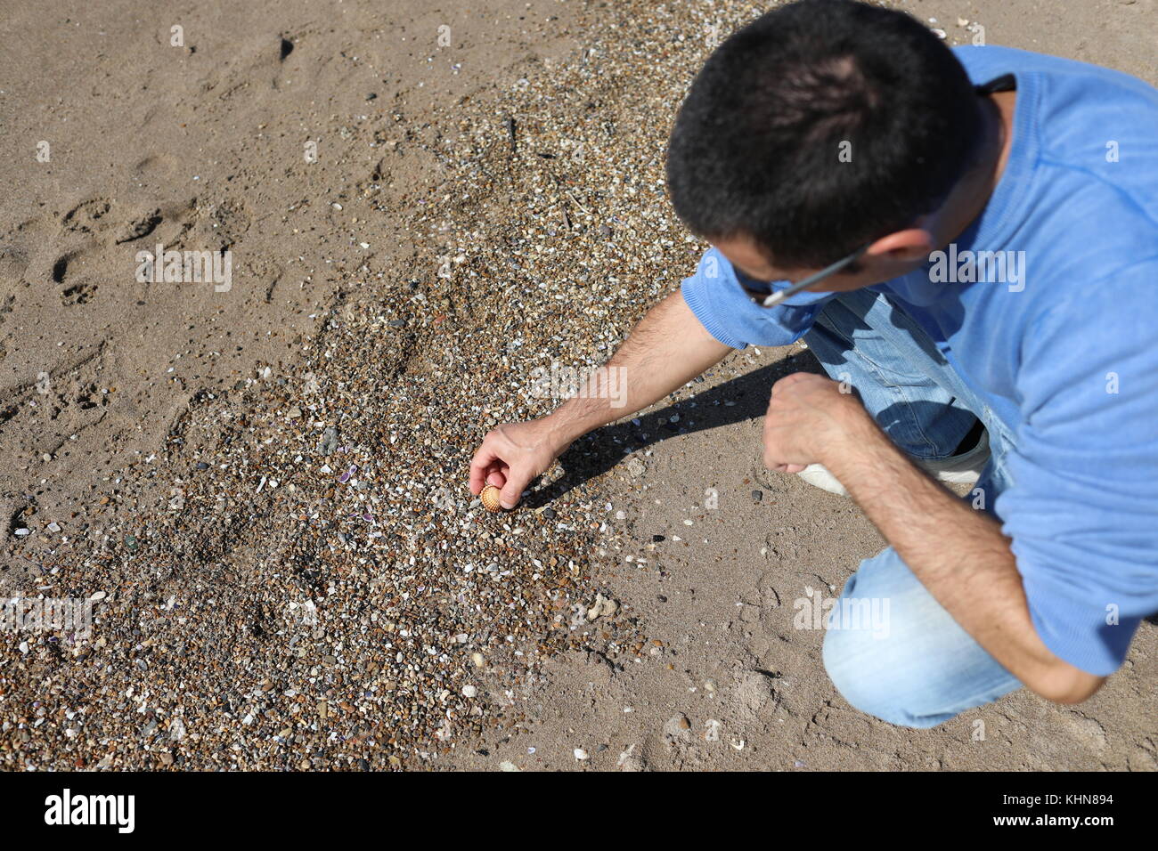 Man on the beach picking shells from the sand Stock Photo - Alamy