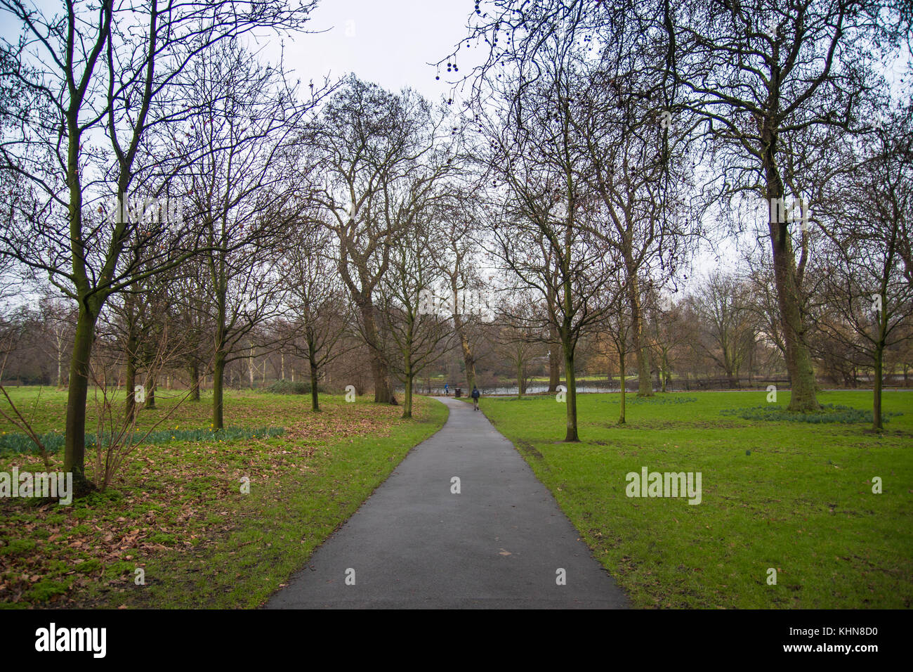 Walking path in green park hi-res stock photography and images - Alamy