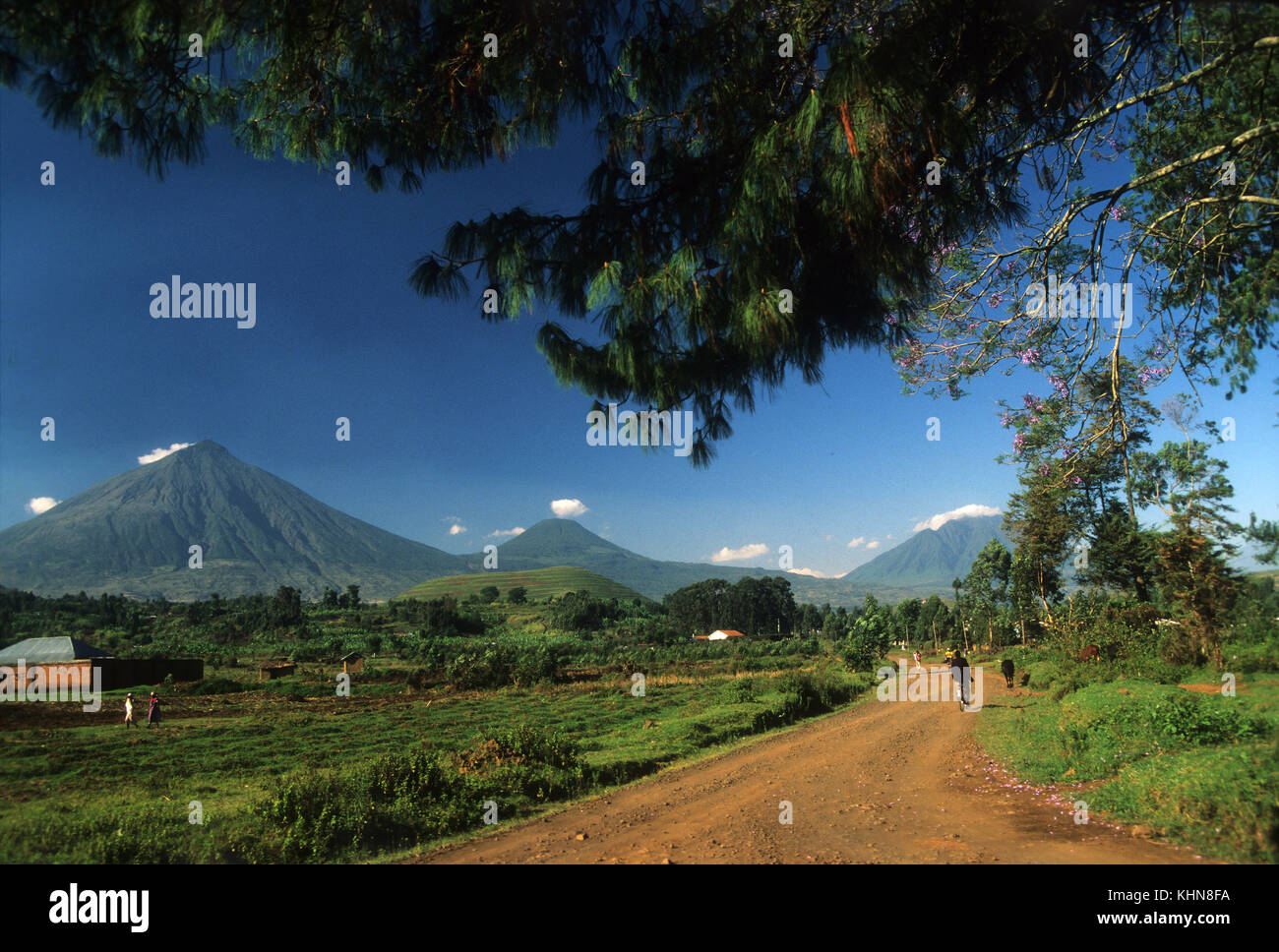Virungas volcanoes in background viewed from Kisoro town, Uganda ...