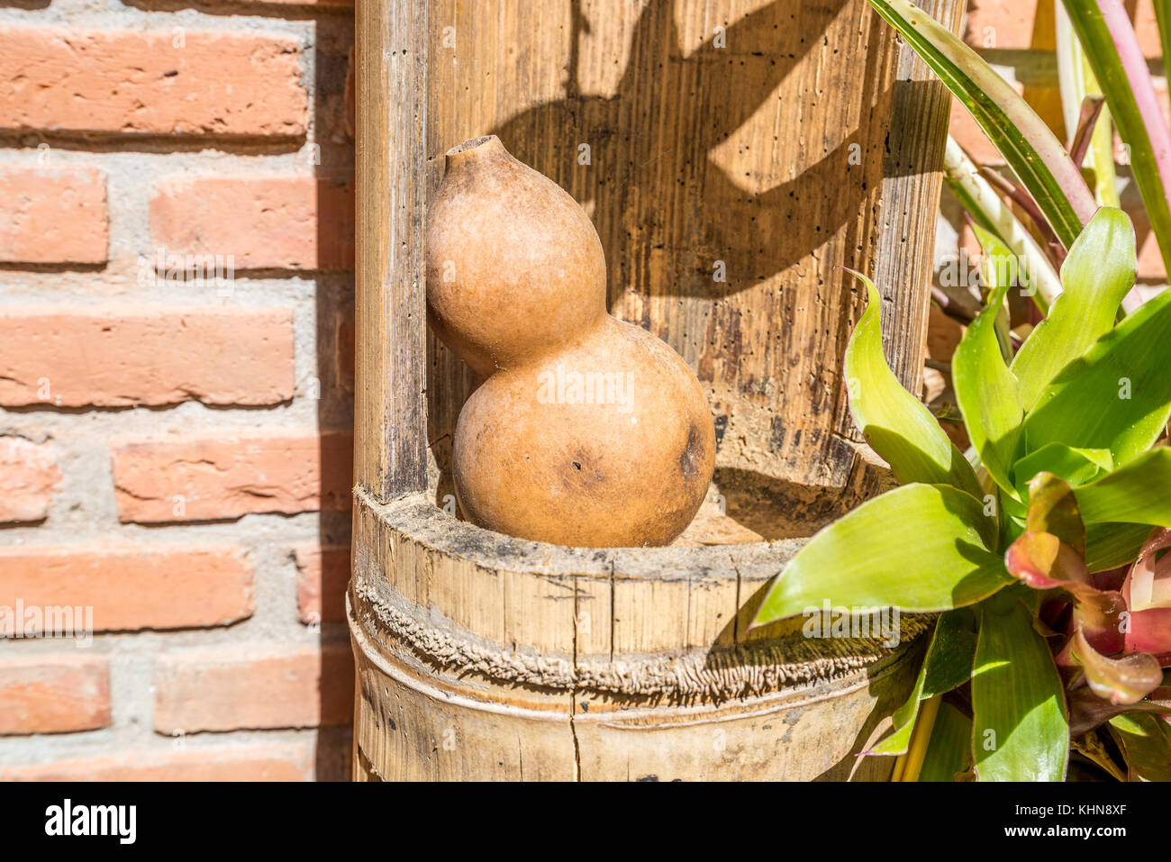 Wood Calabash inside bamboo for decoration in the garden, Thailand ...