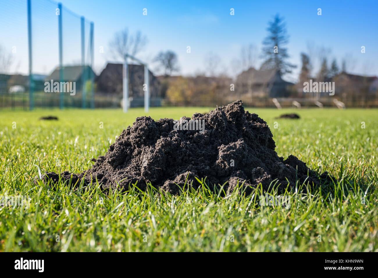 Football soccer field hi-res stock photography and images - Alamy