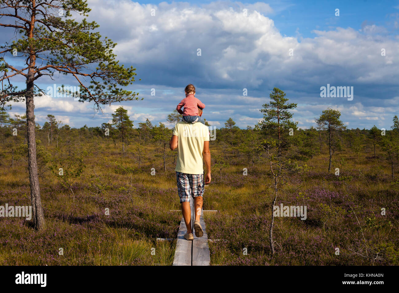 Man walking away from camera over amazing summer landscape with a ...