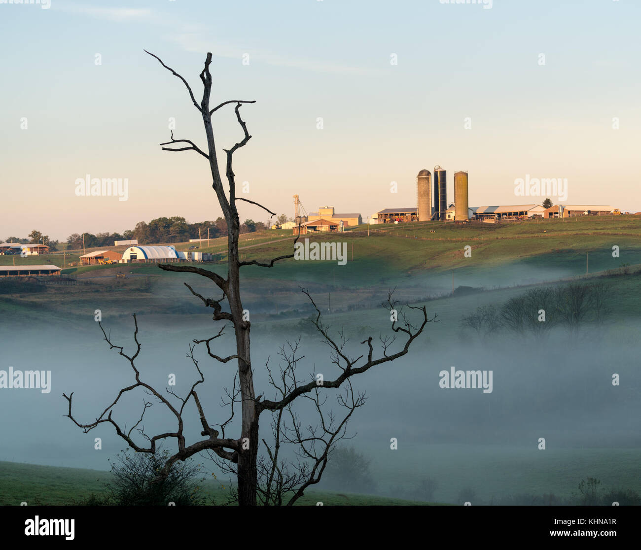 Dead tree frames WVU organic farm at Morgantown Stock Photo - Alamy