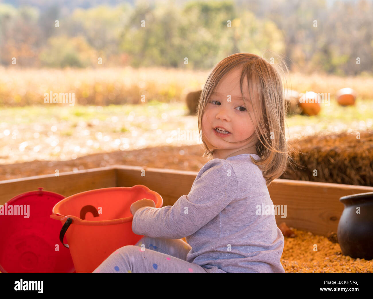 Young girl playing in a sandpit made from corn cob seeds Stock Photo ...