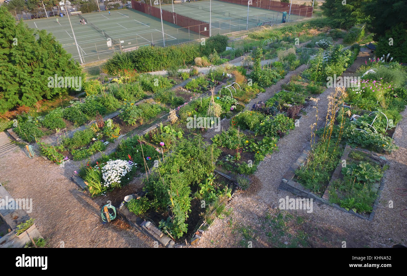 Vegetable garden aerial hi-res stock photography and images - Alamy
