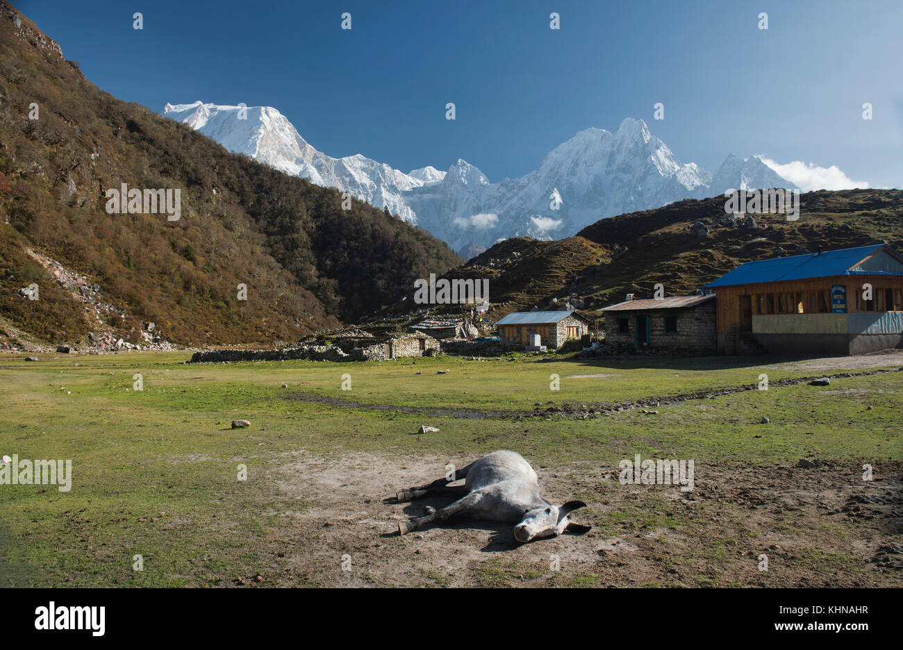 Manaslu, world's eighth highest peak (8,163 metres), and Phungi Himal ...