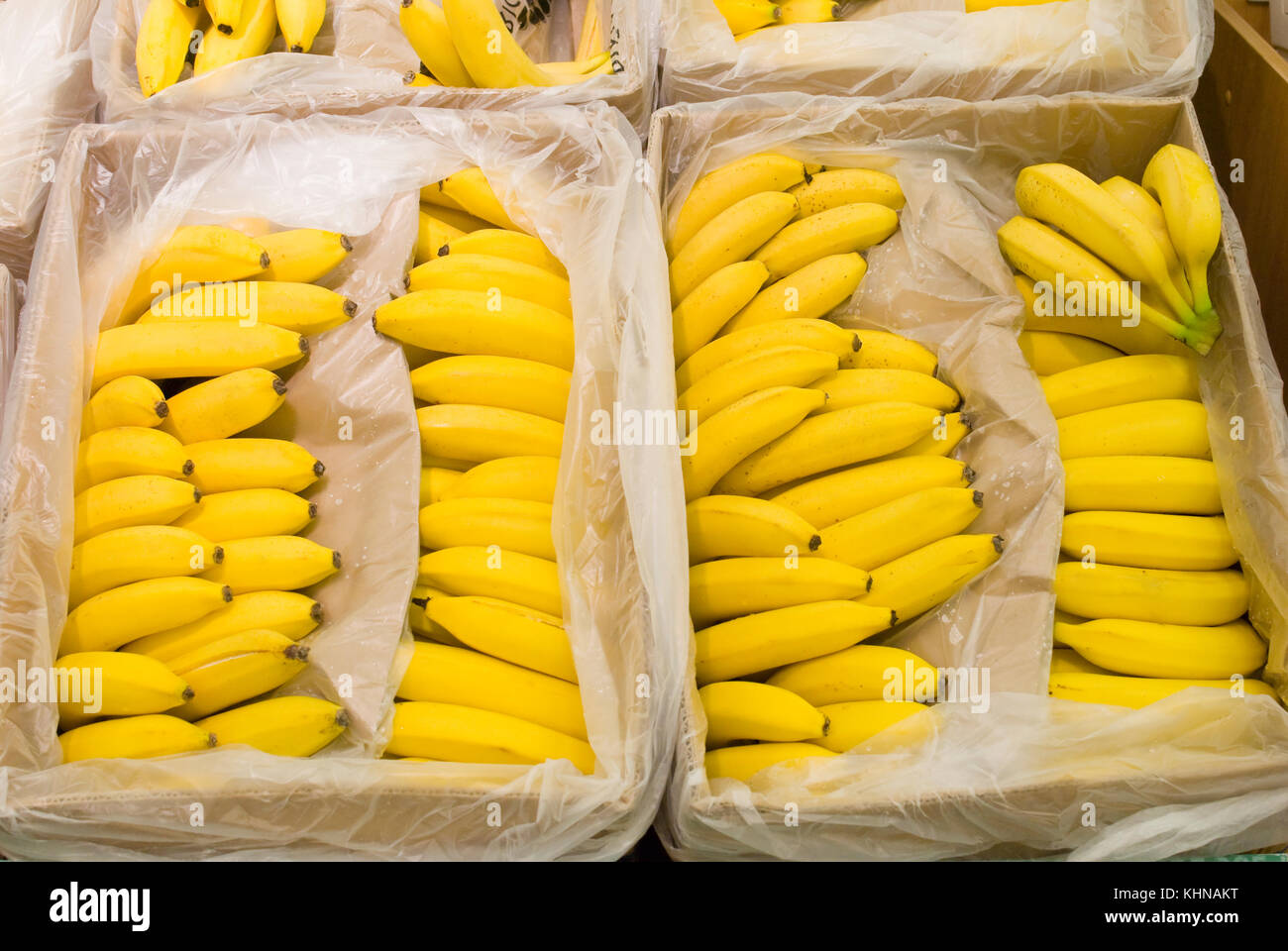 Bananas on supermarket shelves Stock Photo - Alamy