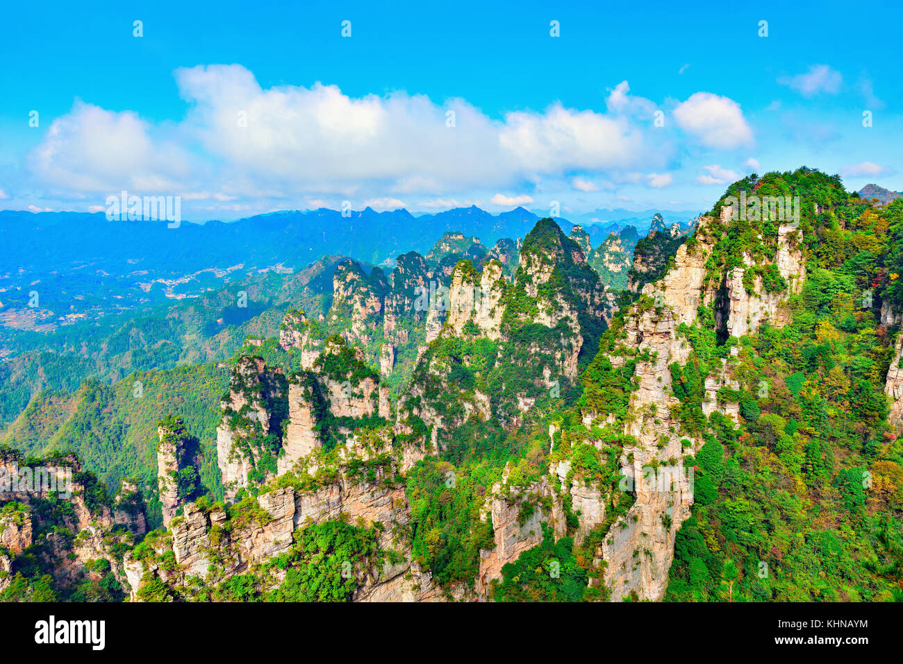 Trees on the colorful cliffs in Zhangjiajie Forest Park at sunny ...