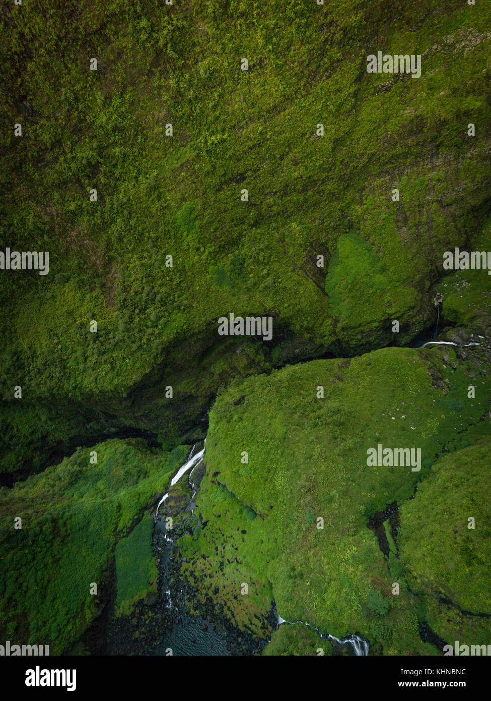 Beautiful waterfall in rainforest can hi-res stock photography and ...