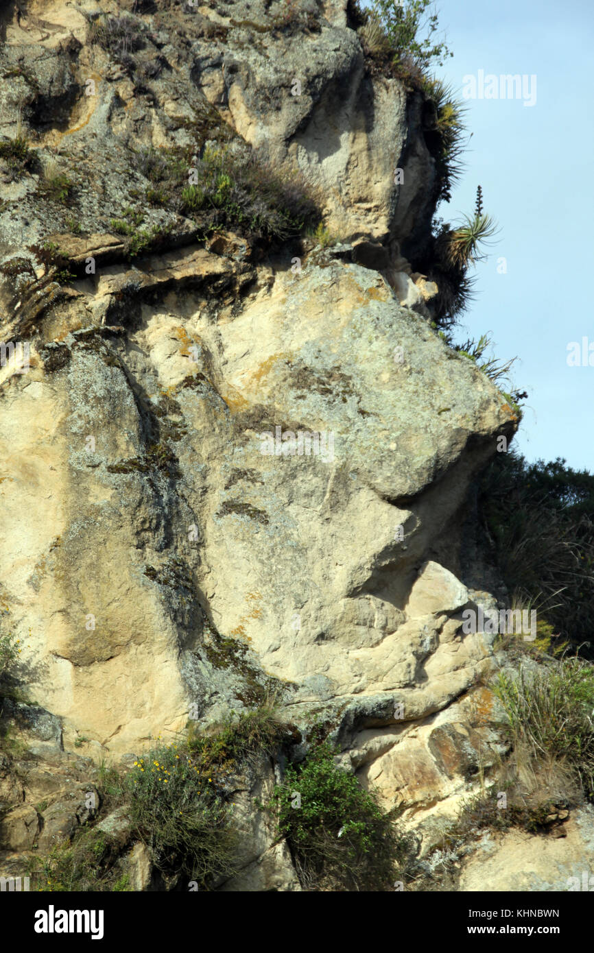 Face on the rock near Ingapirca in Ecuador Stock Photo - Alamy