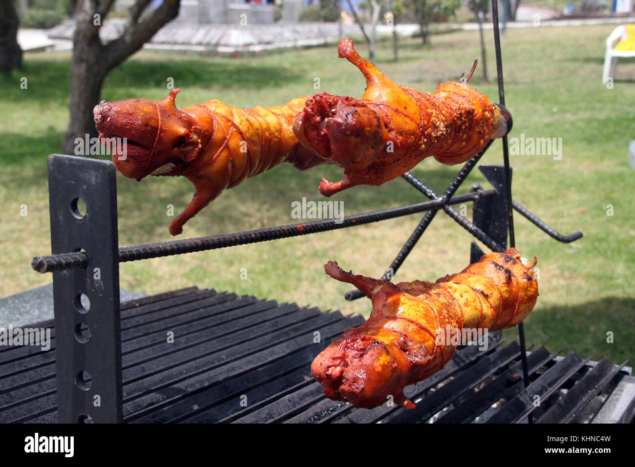 Roast guinea pigs on the barbecue Stock Photo - Alamy