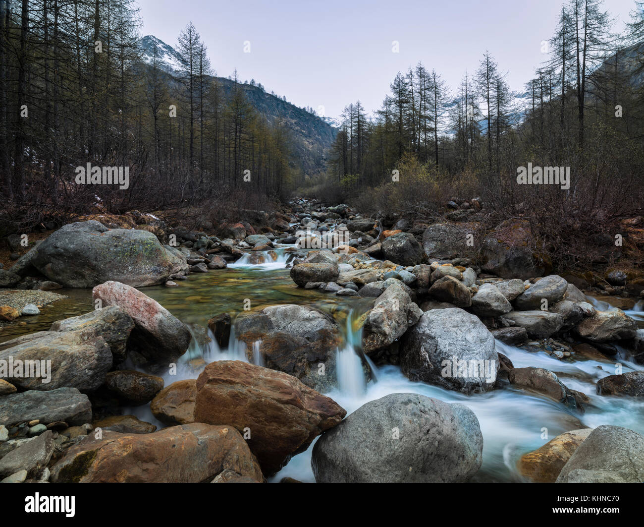 River, mountain stream, forest, grass, europe, dolomites, alps Stock ...
