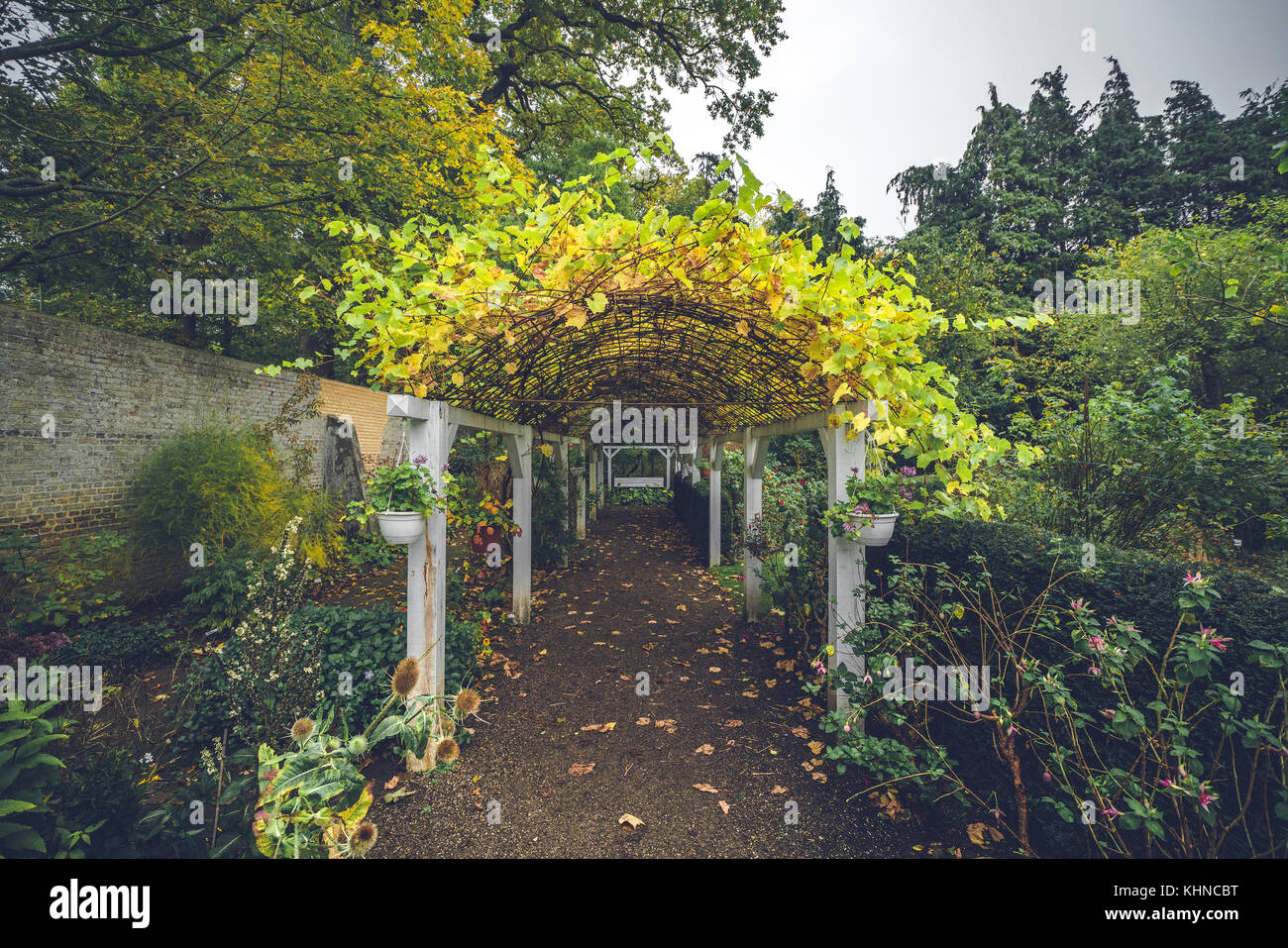 Garden corridor hi-res stock photography and images - Alamy