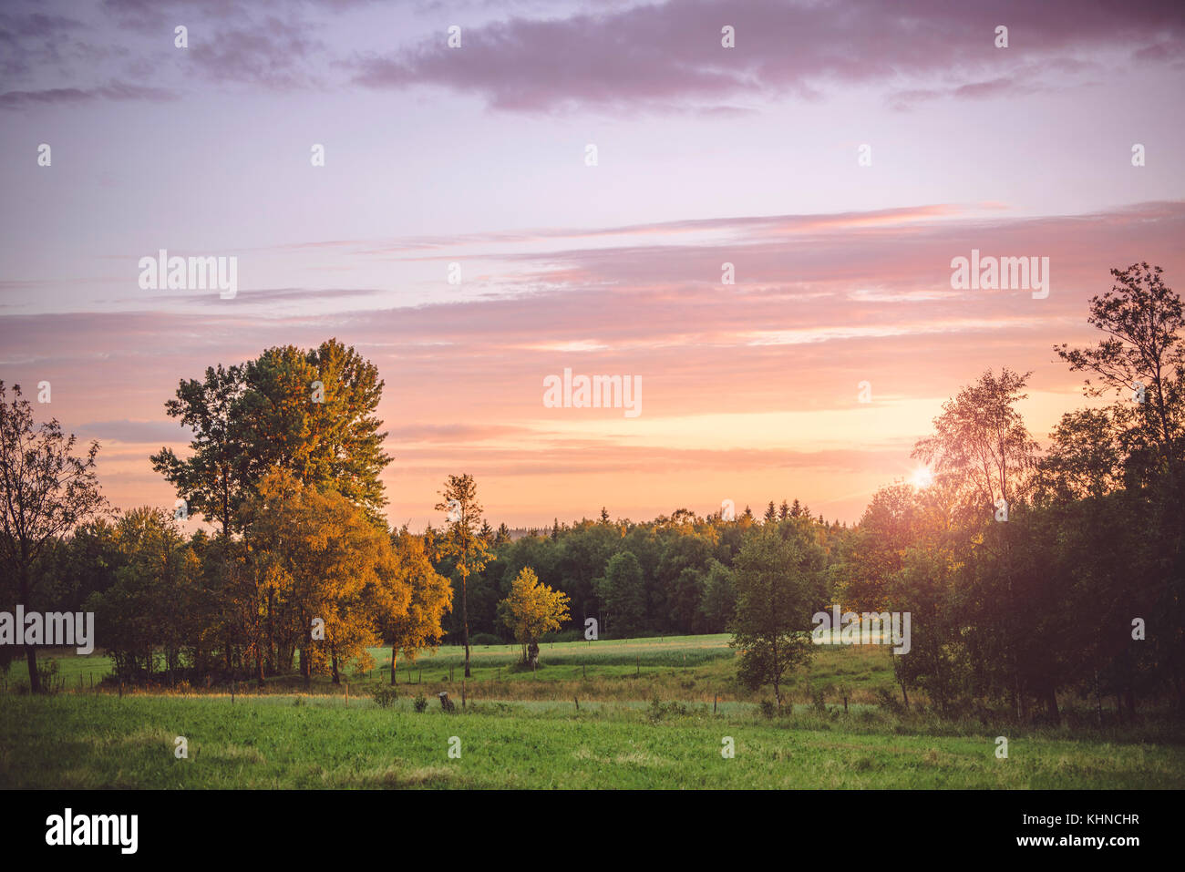 Sunset in a countryside landscape with trees and meadows with a violet ...