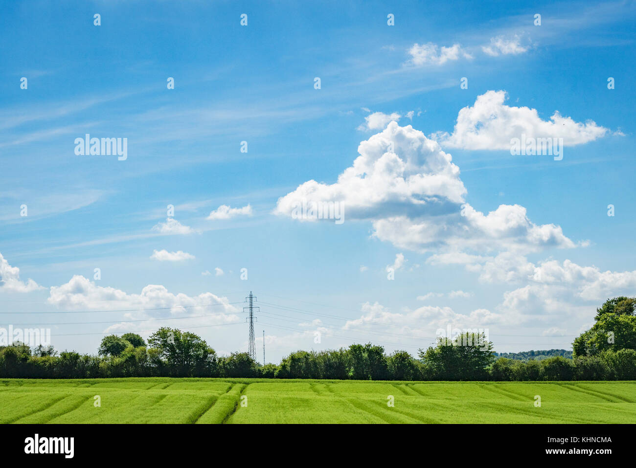 Green fields in a rural countryside landscape with trees and pylons and ...