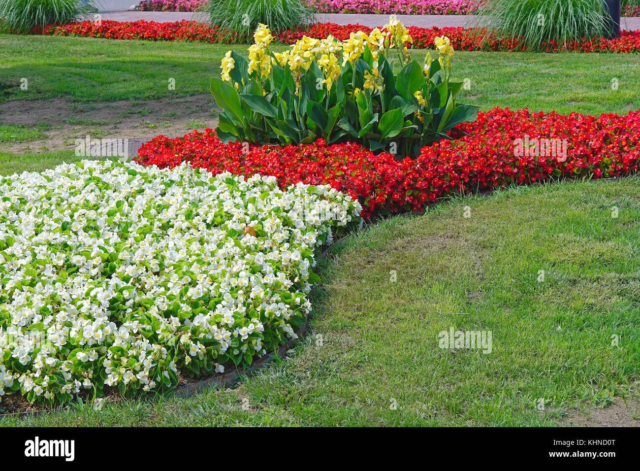 Cultivated garden with flowers in park Stock Photo - Alamy