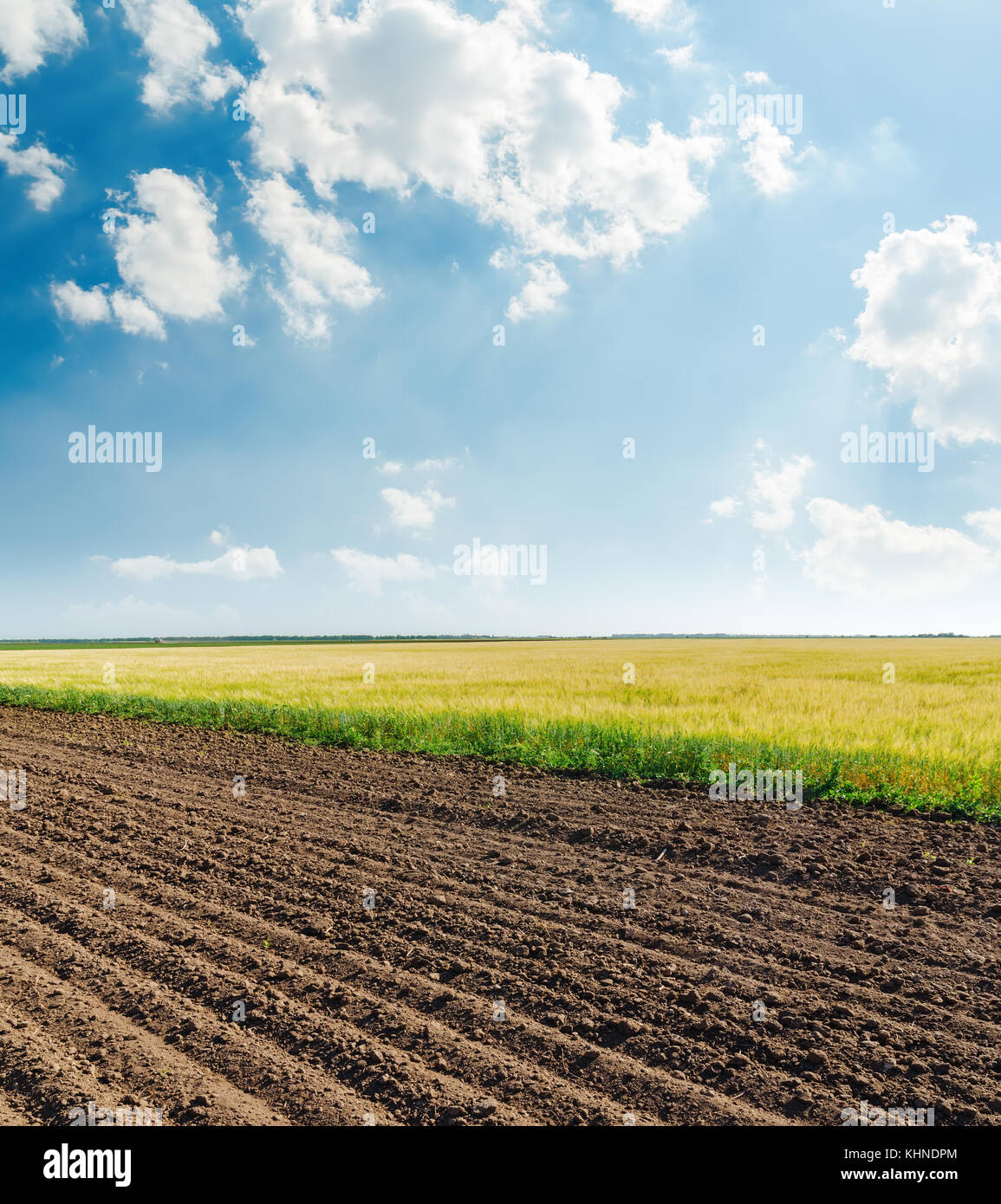 Fields spring blue sky hi-res stock photography and images - Alamy
