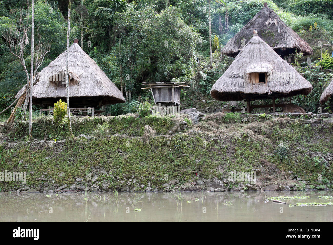 Traditional houses and rice terrases in Batad, near Banaue Stock Photo ...