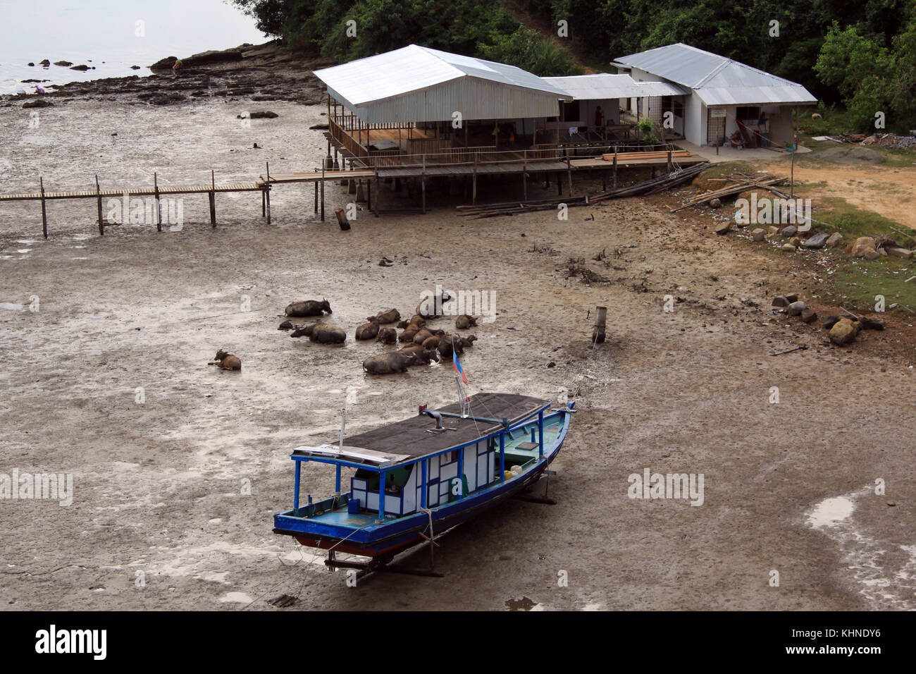 Low tide on the river in Sabah, Borneo, Malaysia Stock Photo - Alamy
