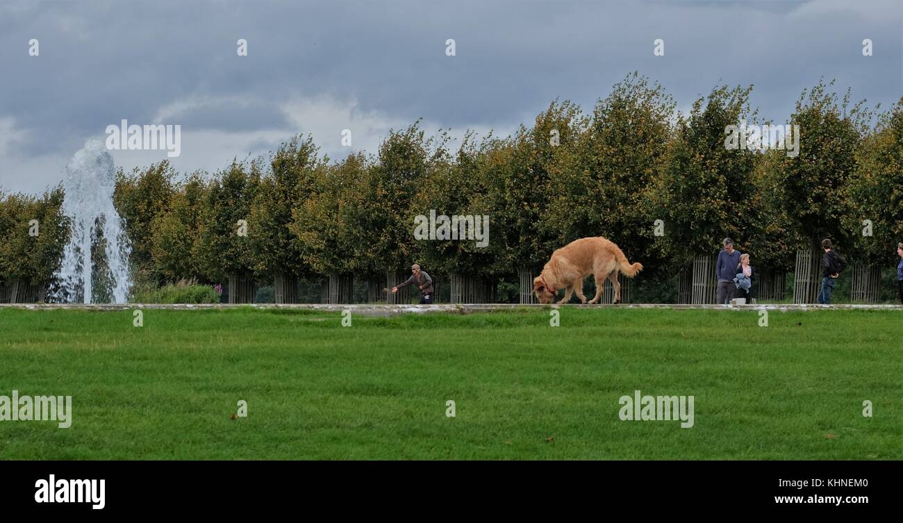 dog fountain grass trees Stock Photo - Alamy