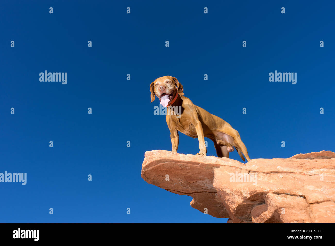 Standing at cliff edge hi-res stock photography and images - Alamy