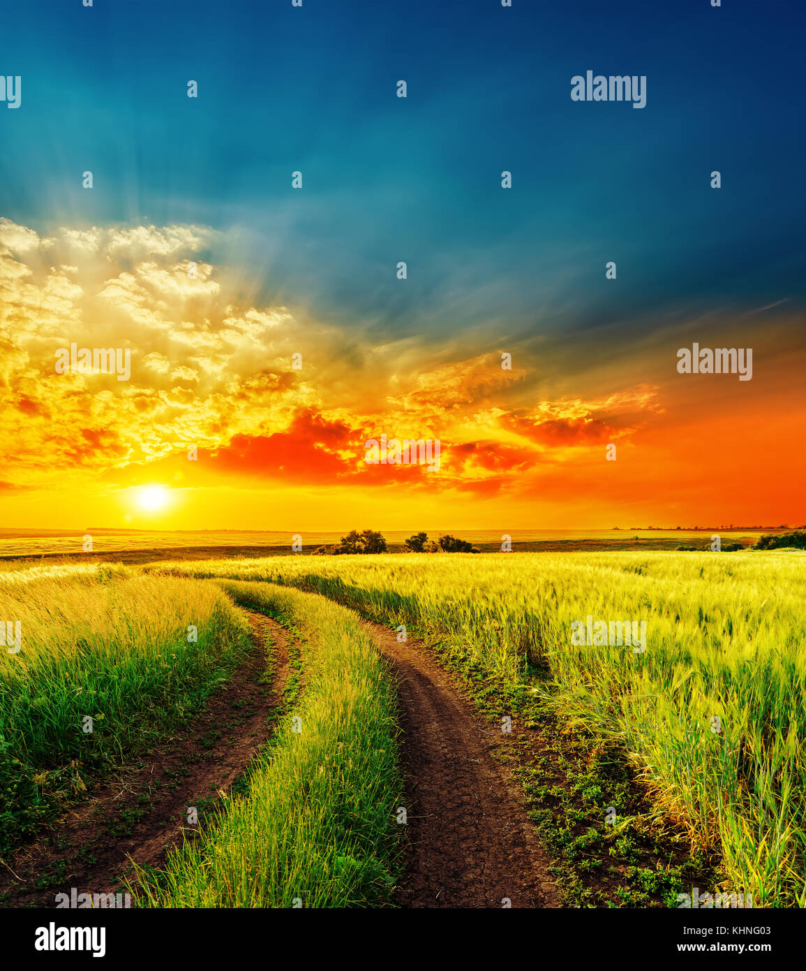 red sunset over green field with road Stock Photo - Alamy