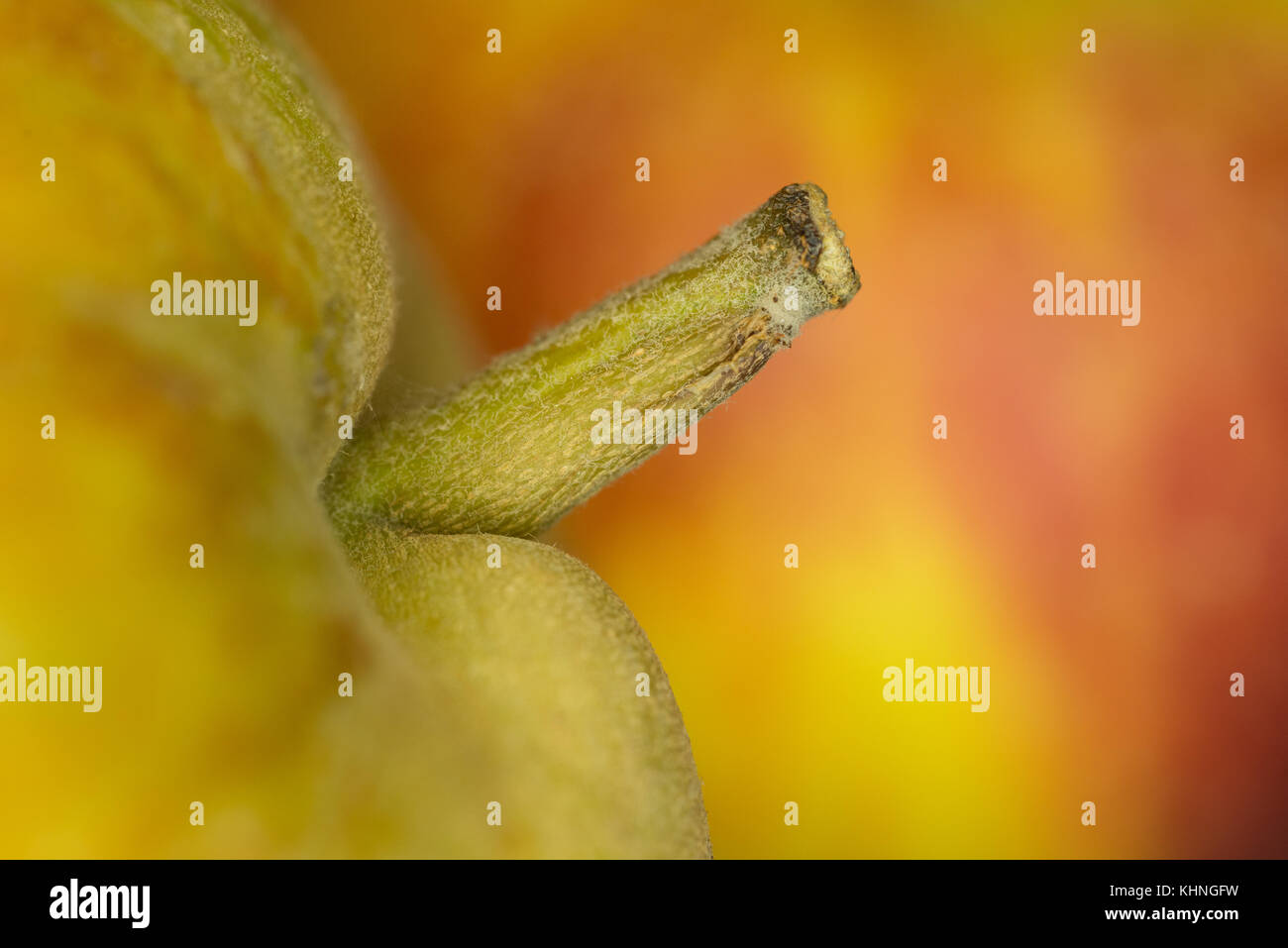 Suggestive hi-res stock photography and images - Alamy