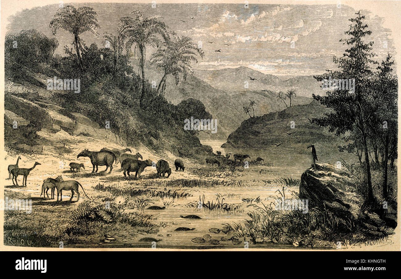 Eocene landscape hi-res stock photography and images - Alamy