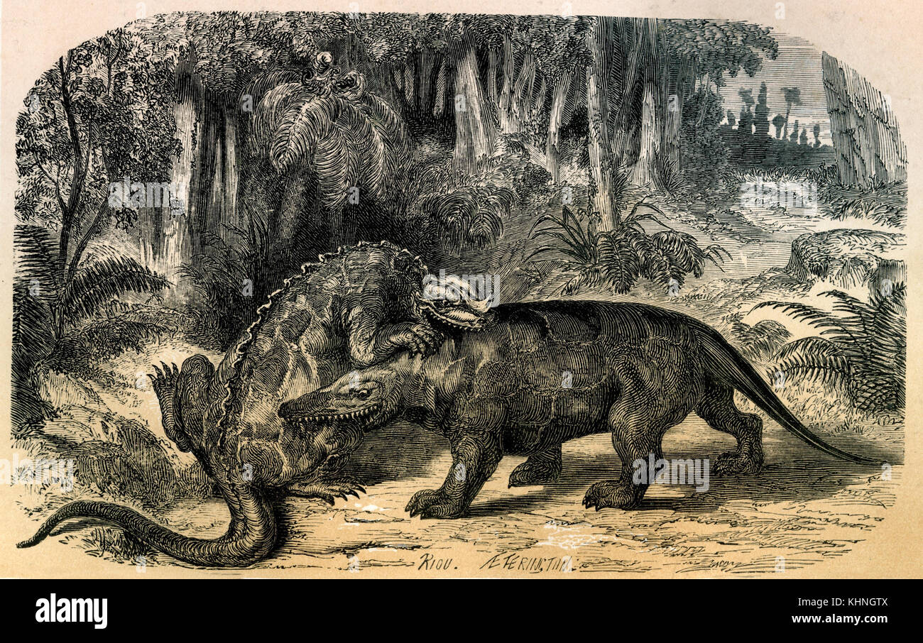 Erdzeitalter hi-res stock photography and images - Alamy