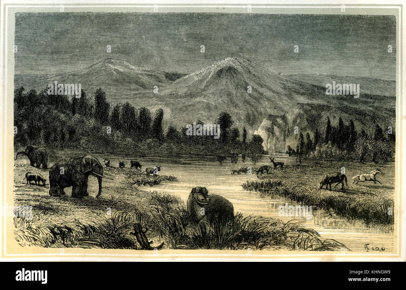 Pliocene hi-res stock photography and images - Alamy