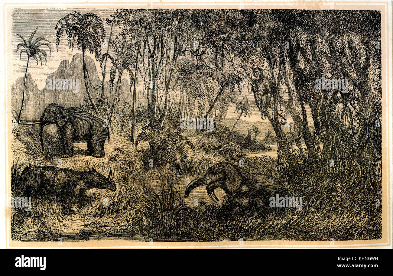 Miocene landscape hi-res stock photography and images - Alamy