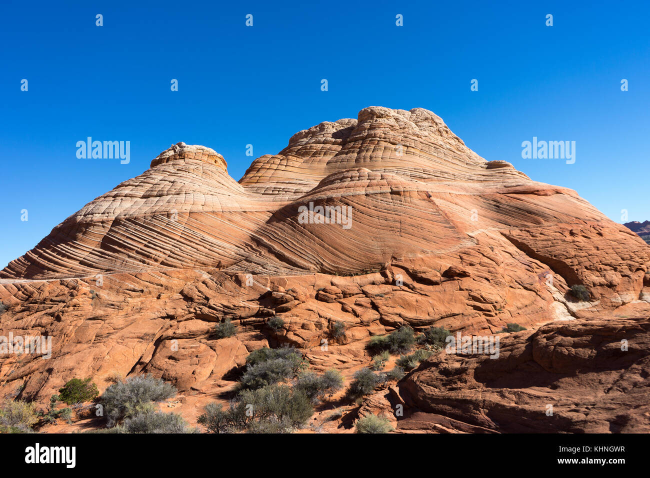 Coyote Butte Arizona Stock Photo - Alamy