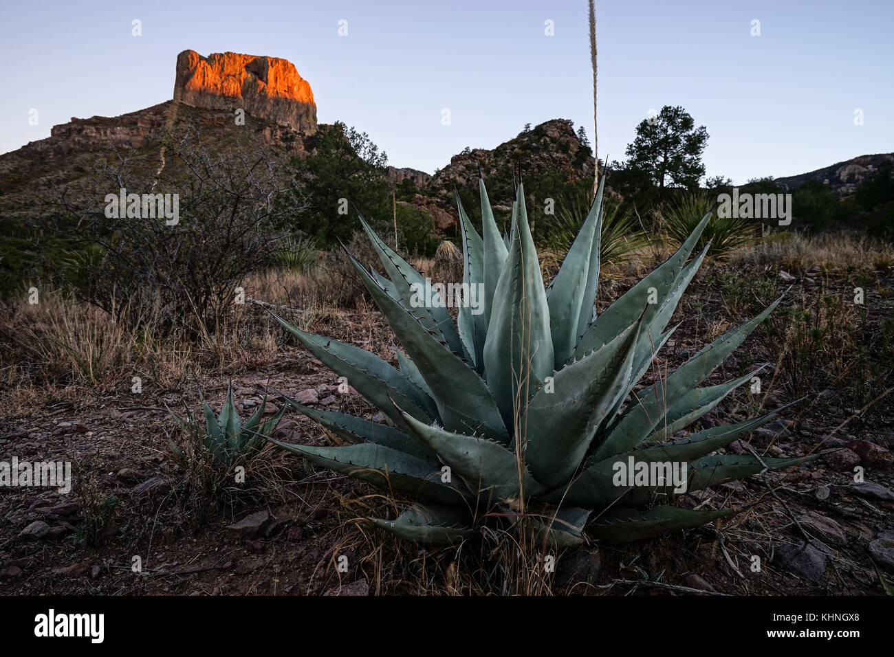 sunset in Big Bend national park Stock Photo - Alamy