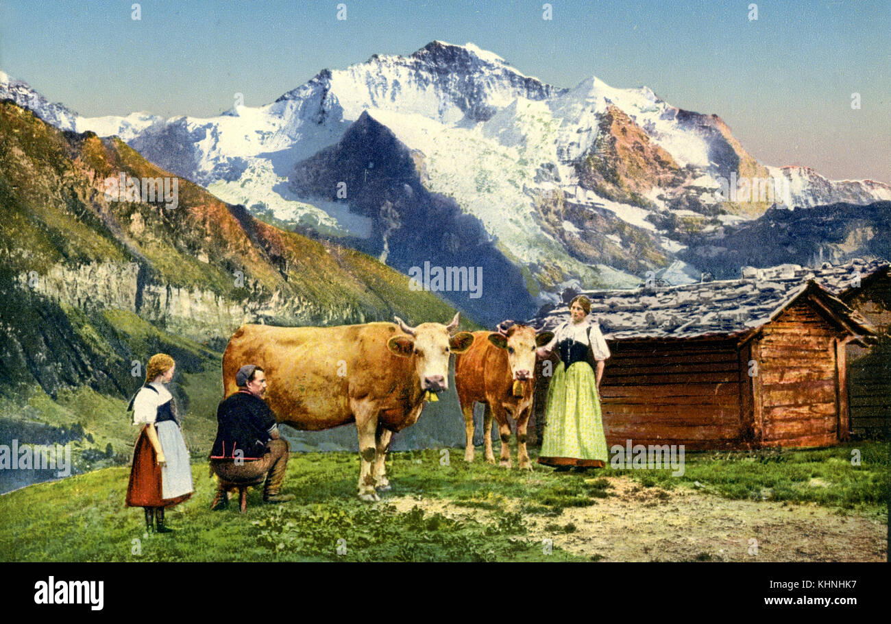 Cows and farmers in the Swiss mountains, panorama from 1910 (Kühe und ...