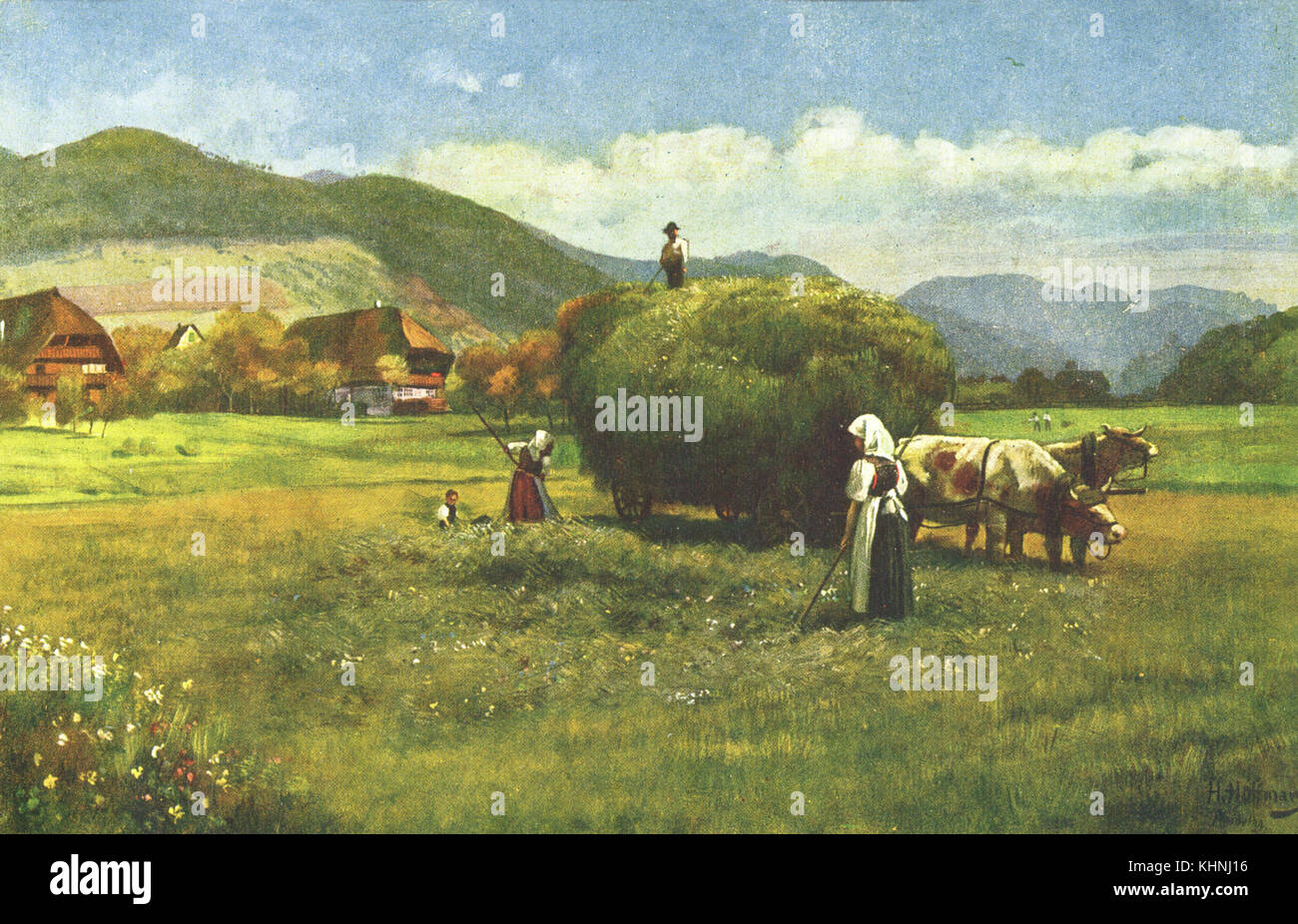 Farmers in the harvesting of hay. Before the hay wagon are cows (Bauern ...