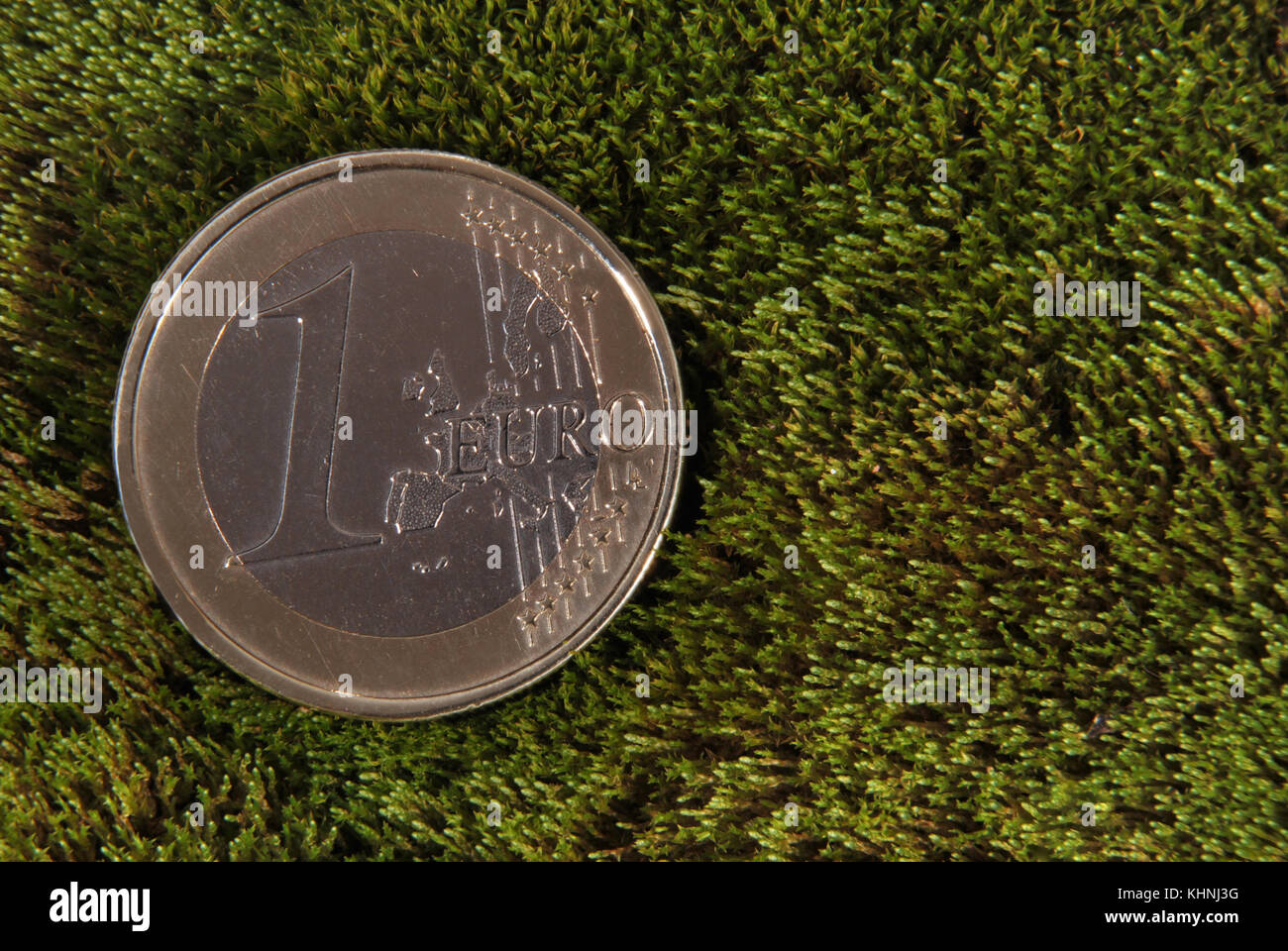 The lost coin lays on a moss. One euro on moss backgrounds Stock Photo ...