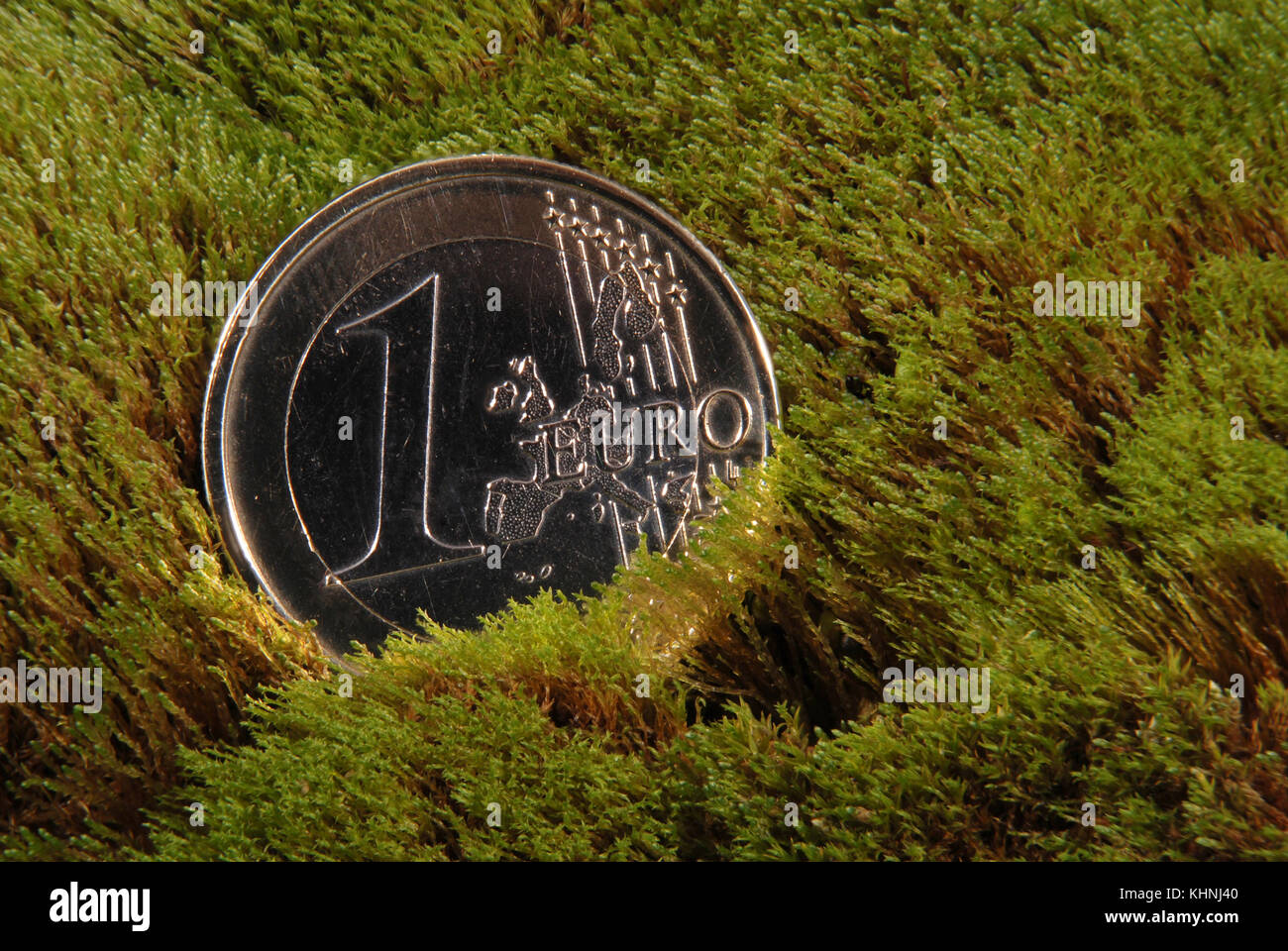 The lost coin lays on a moss. One euro on moss backgrounds Stock Photo ...
