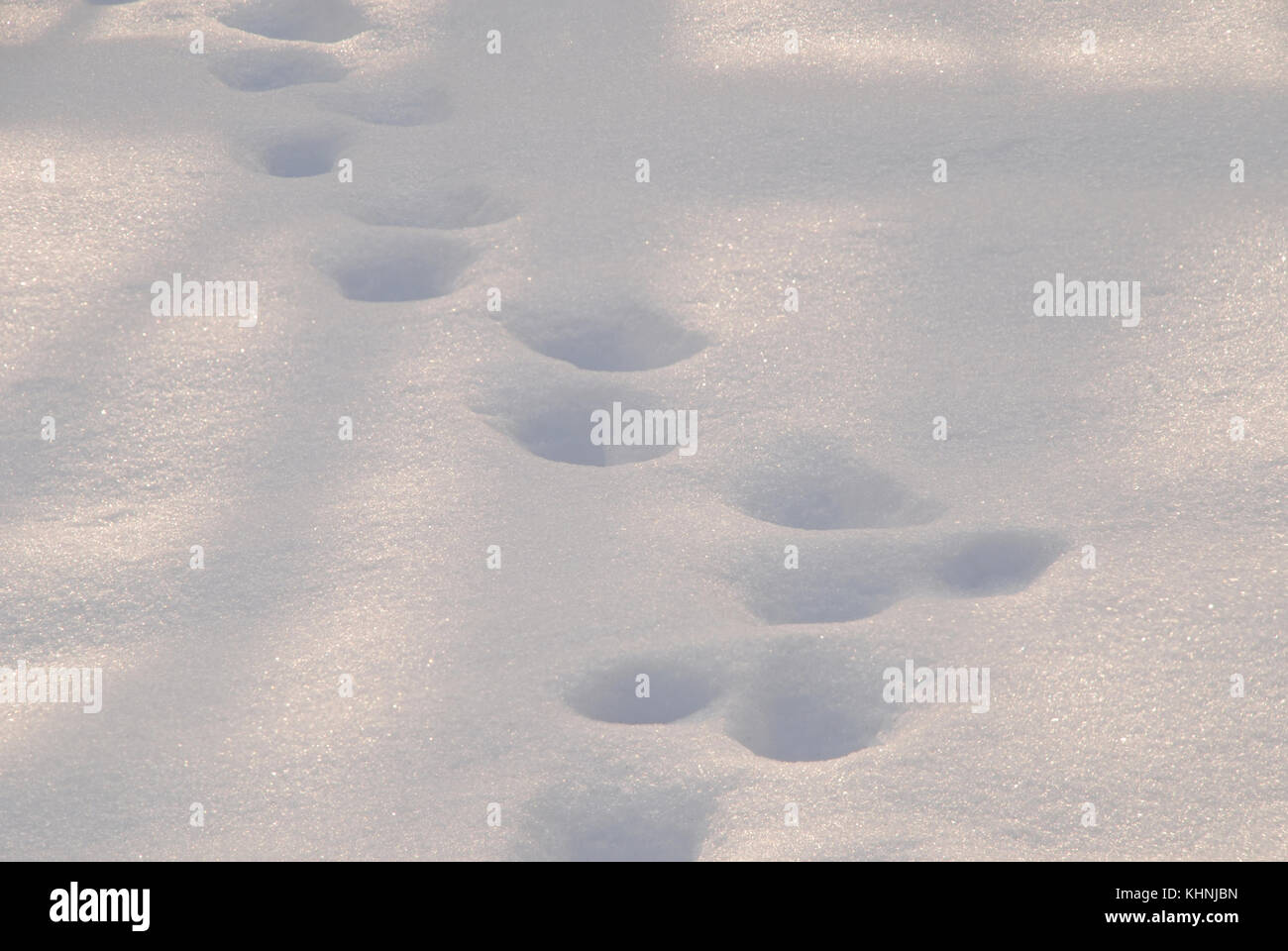Traces in the snow. Winter background Stock Photo - Alamy