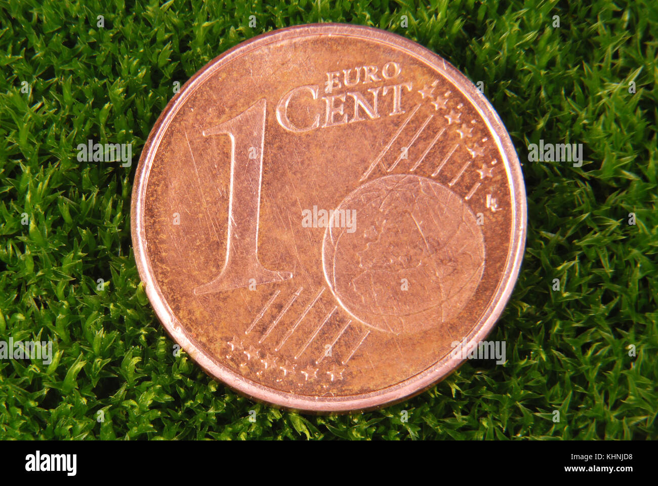 The lost coin lays on a moss. One euro cent on moss backgrounds Stock ...