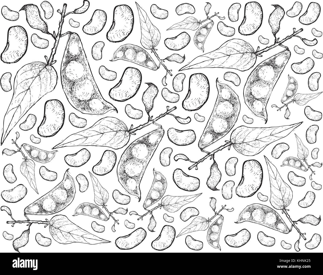 Vegetable, Illustration Background Pattern of Hand Drawn Sketch Fresh ...