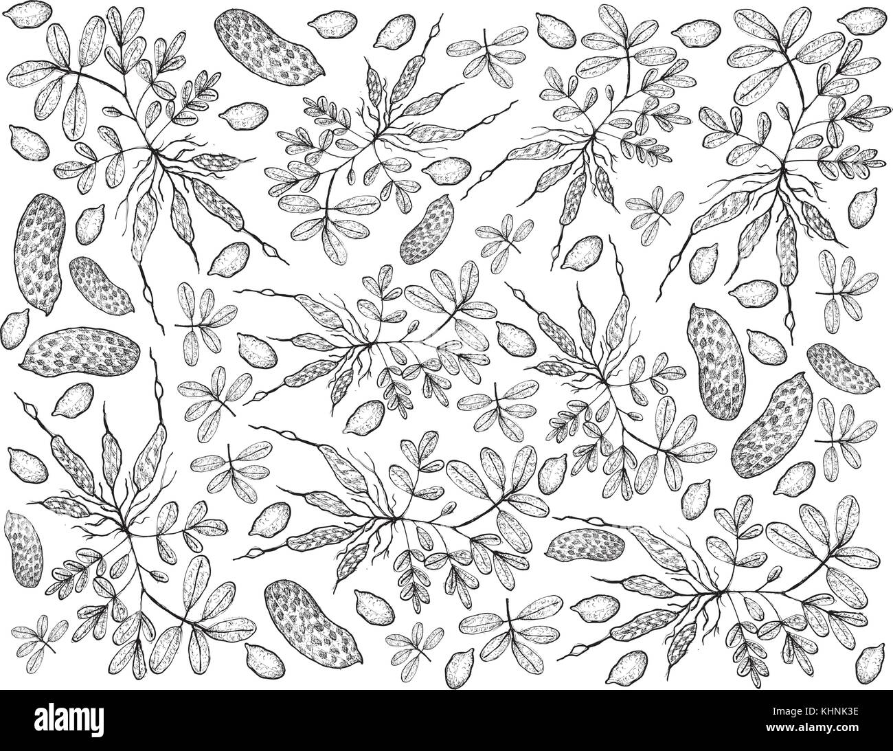 Vegetable and Fruit, Illustration Background Pattern of Hand Drawn ...